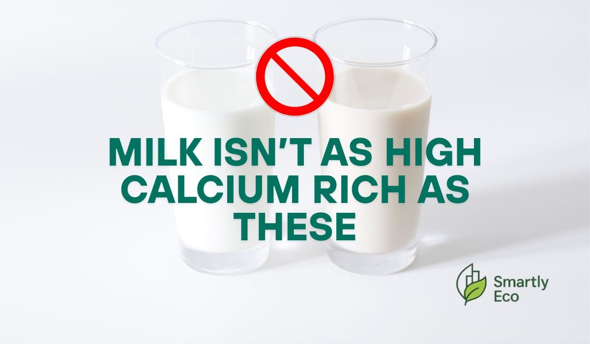 Doctors Won’t Tell You: Best Calcium Foods Are NOT Milk - Smartly Eco